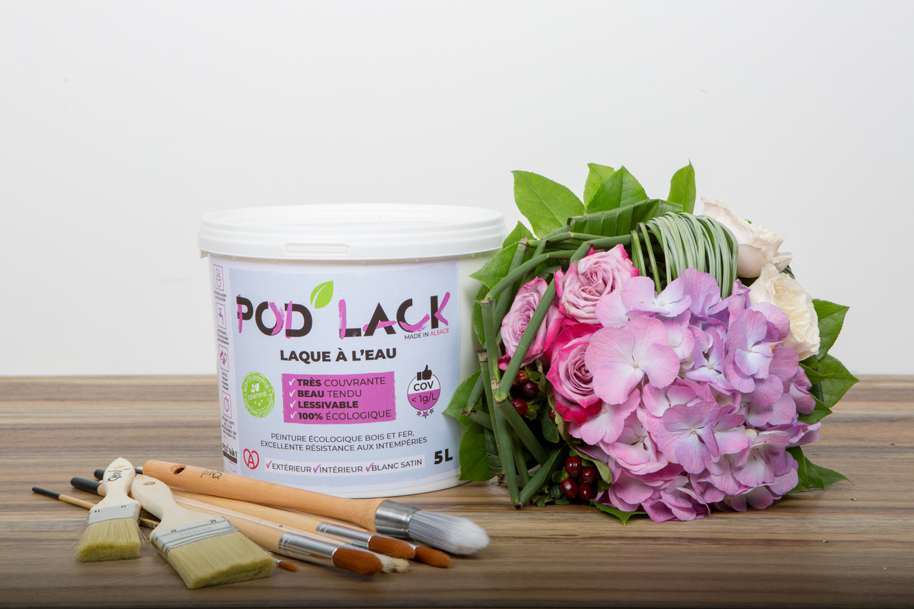 POD’PAINT: la peinture 100% green ! - Stay Tuned For Life