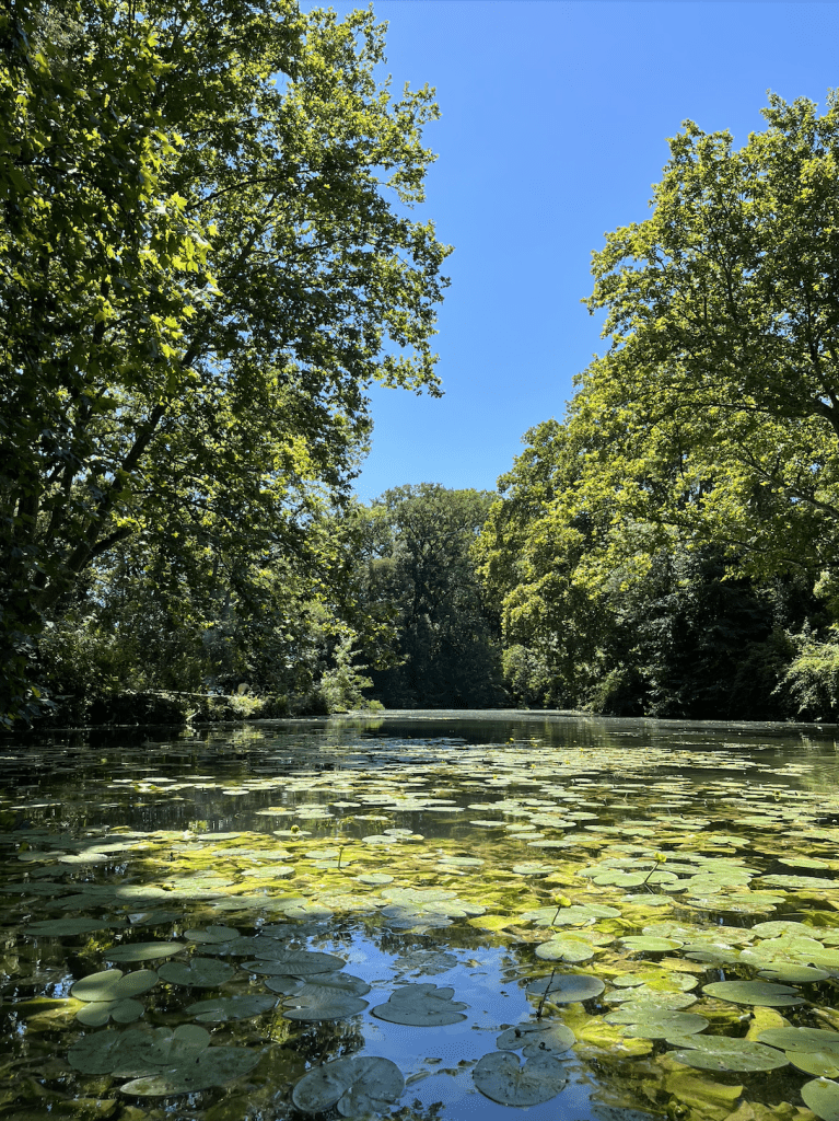10 activités Pleine Nature à pratiquer du côté de Montpellier